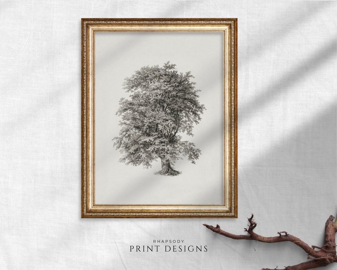Tree Sketch Print. PRINTABLE Art Tree. Vintage Tree Downloadable Print ...
