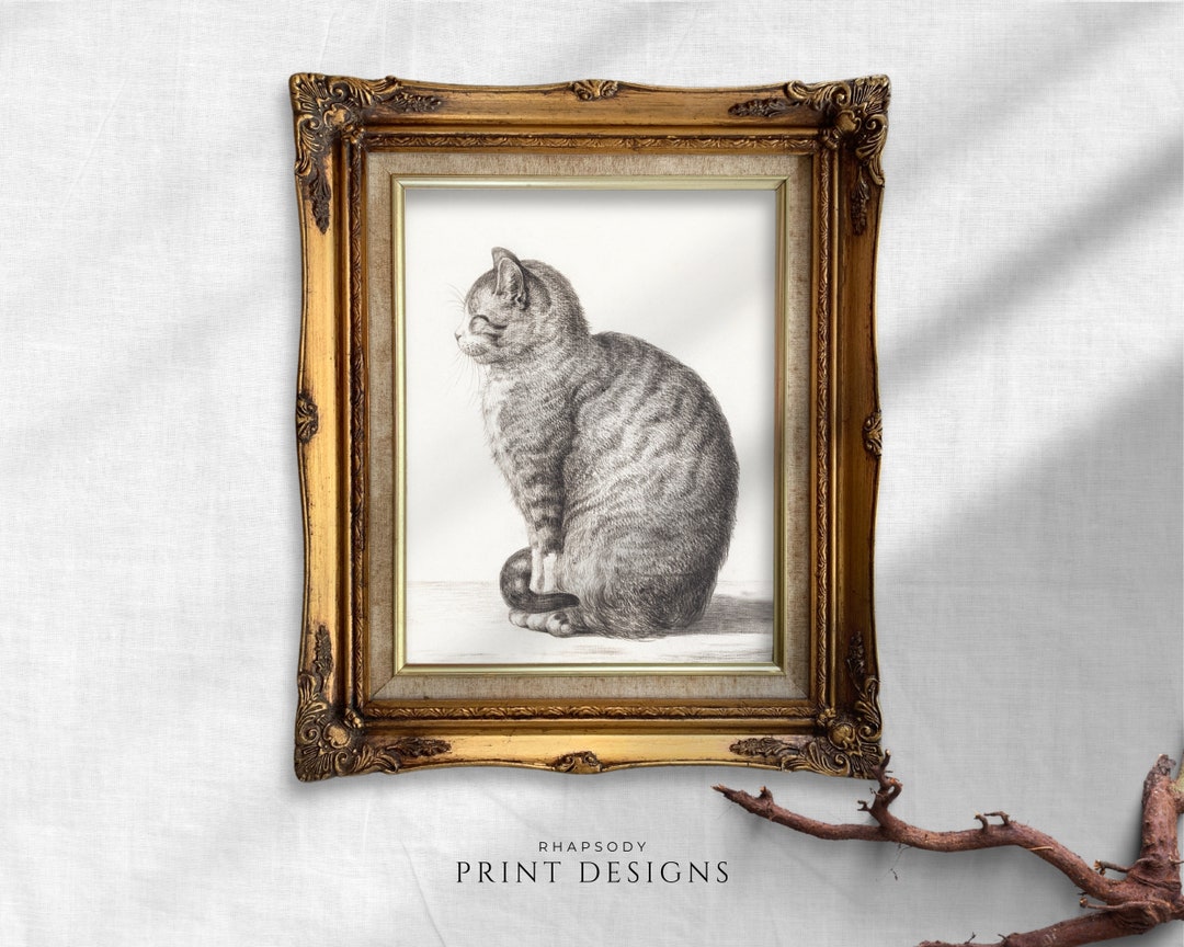 PRINTABLE Vintage Cat Print. Digital Download Sketch of a Cute Cat ...