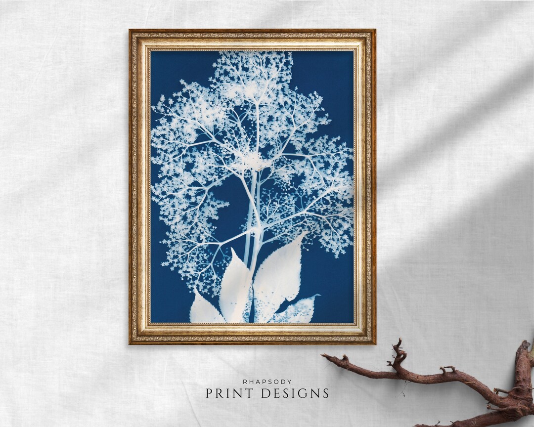 Vintage Cyanotype Botanical PRINTABLE Wall Art. Blue and White Abstract ...