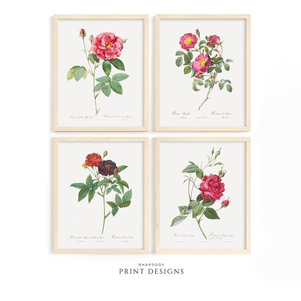 Rose Prints - Etsy