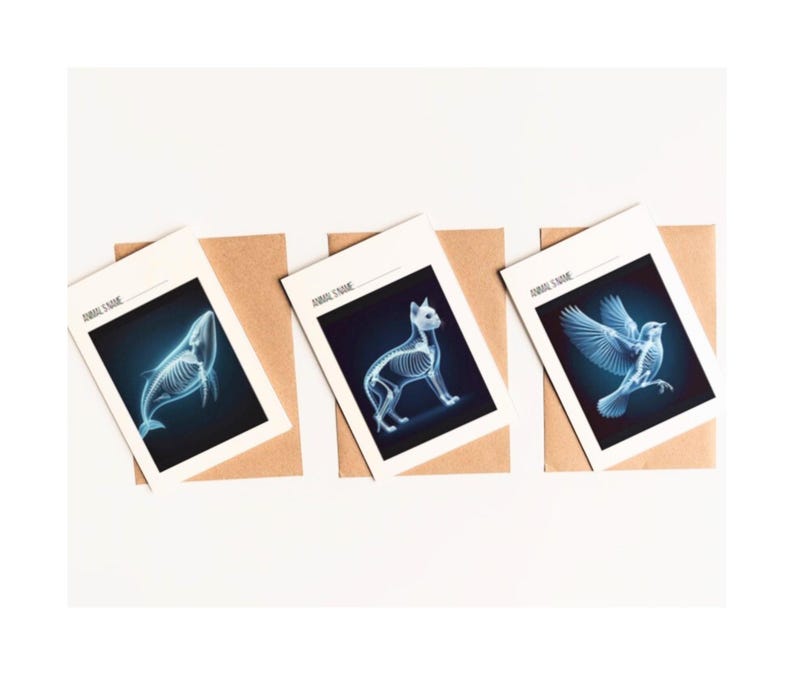 Printable Animal X-rays for Kids, Pretend Play Kids Vet X-ray Activity ...