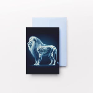 Printable Animal X-rays for Kids: Vet Pretend Play (digital Download ...