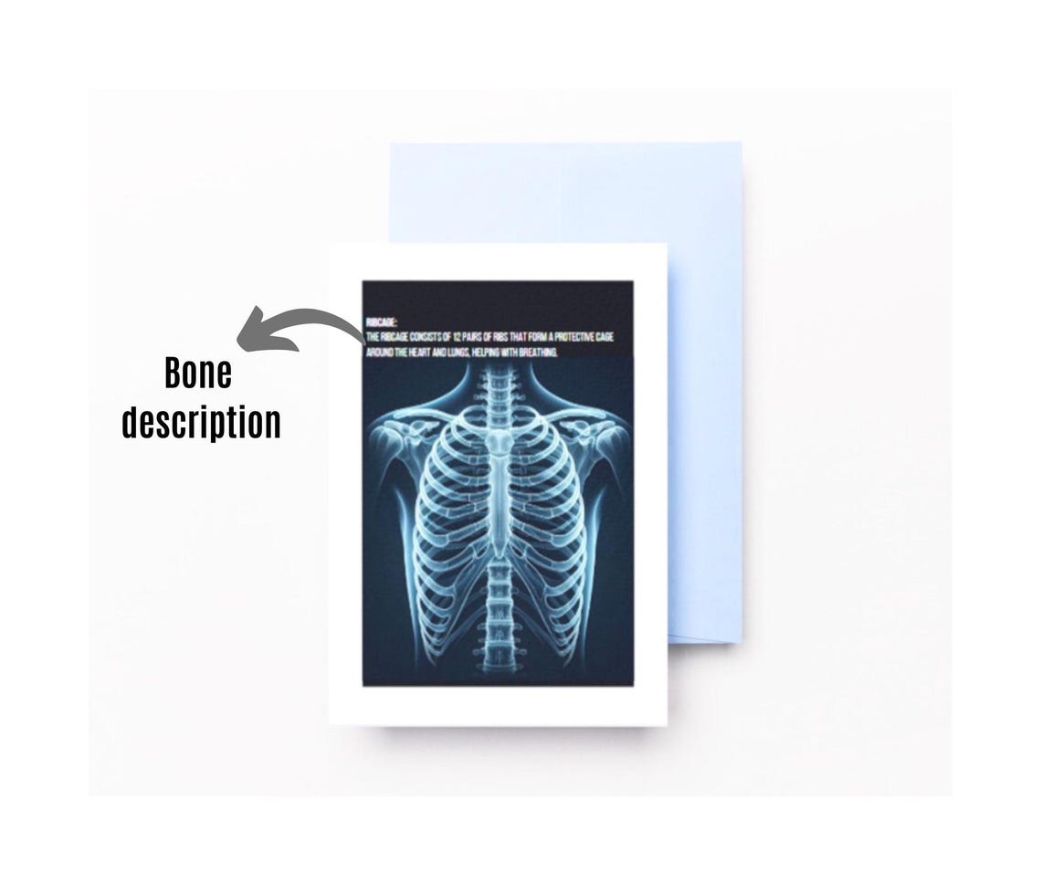 Human Anatomy Printable Activity for Kids | Human Body X-rays Activity ...
