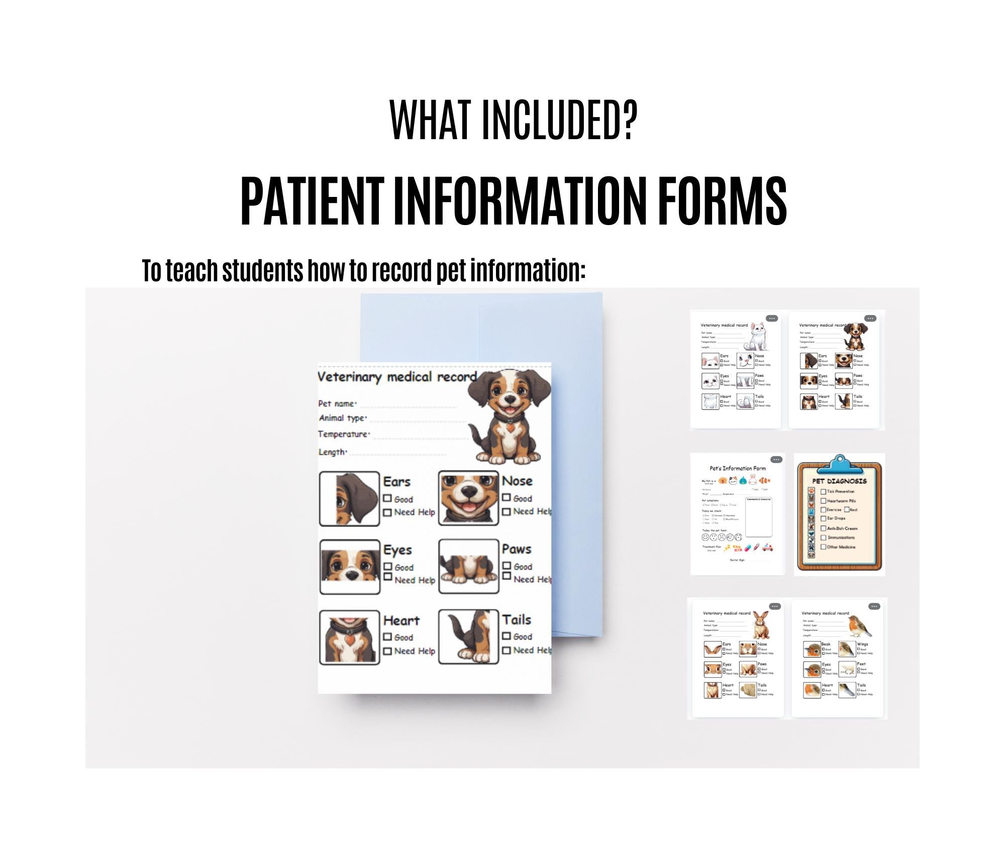 Vet Clinic Dramatic Play Printable Set, Interactive Animal Care Role ...