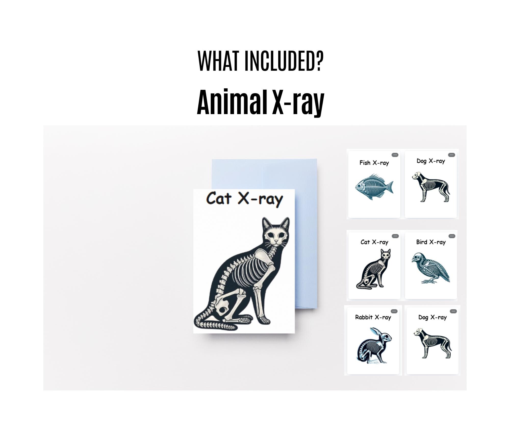 Vet Clinic Dramatic Play Printable Set, Interactive Animal Care Role ...