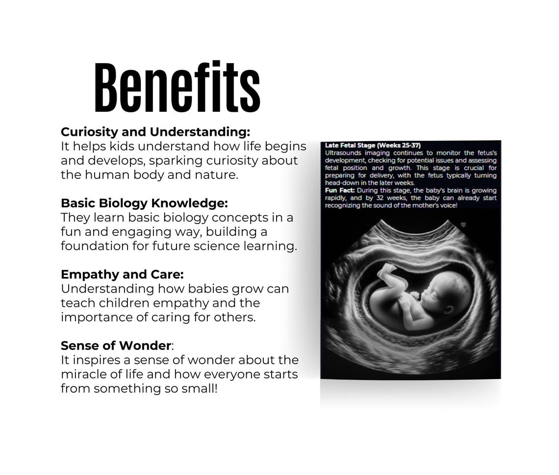 Baby Development Stages Printable: Simple Guide From Pregnancy to Birth ...