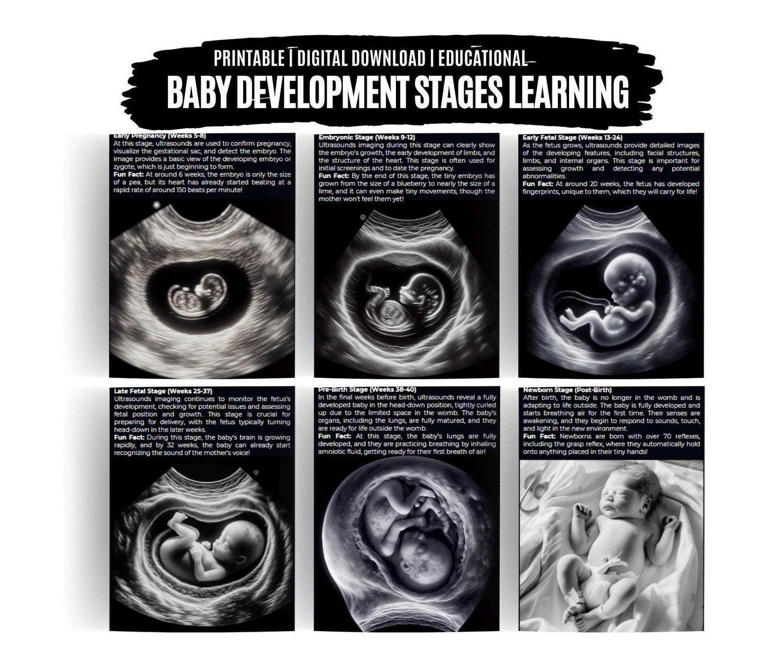 Baby Development Stages Printable: Simple Guide From Pregnancy to Birth ...
