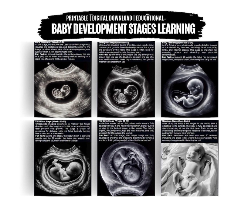 Baby Development Stages Printable: Simple Guide From Pregnancy to Birth ...