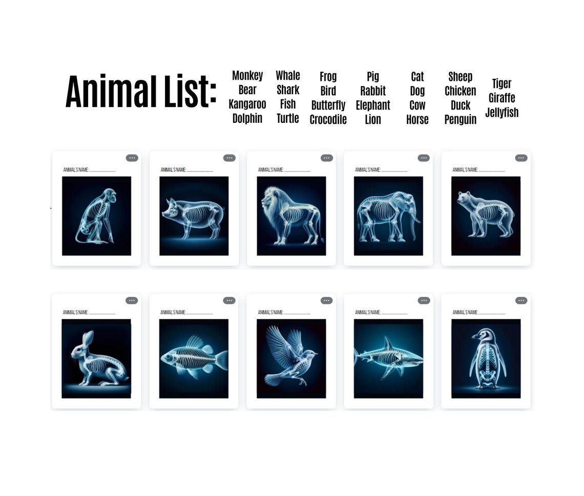 Printable Animal X-rays for Kids, Pretend Play Kids Vet X-ray Activity ...