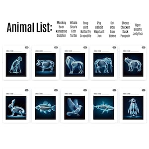 Printable Animal X-rays for Kids, Pretend Play Kids Vet X-ray Activity ...