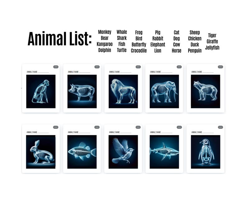 Printable Animal X-rays for Kids, Pretend Play Kids Vet X-ray Activity ...
