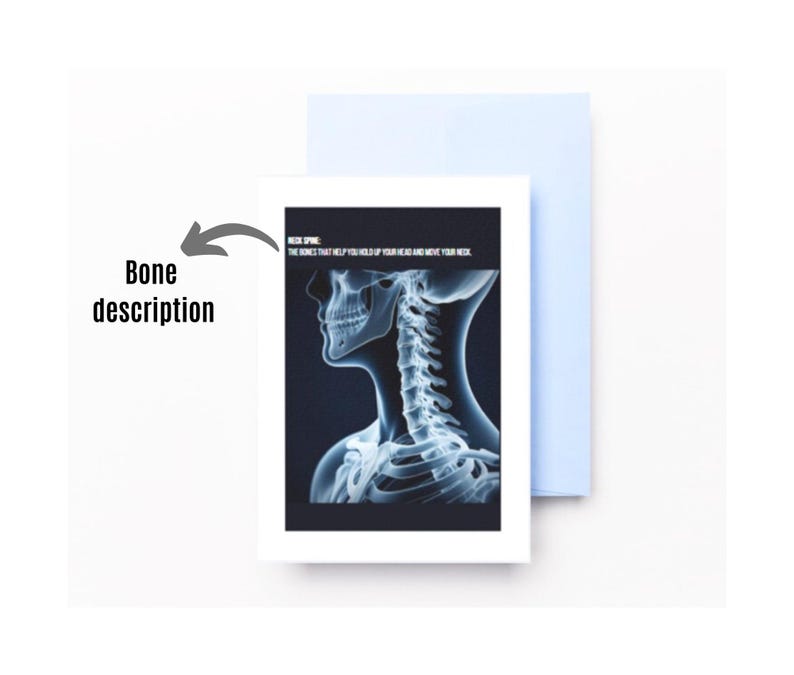 Human Anatomy Printable Activity for Kids | Human Body X-rays Activity ...