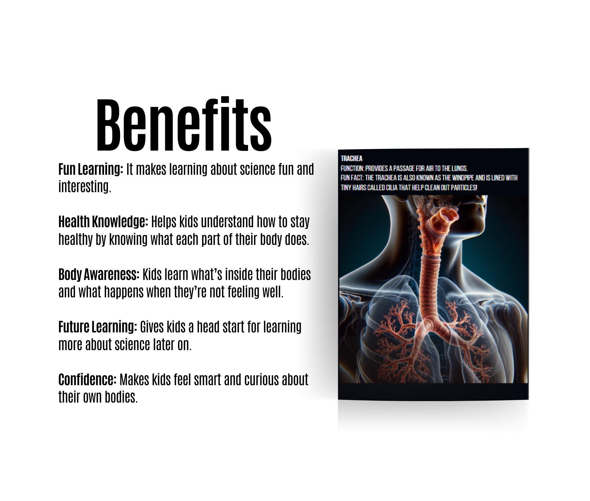 Human Anatomy Printable Activity for Kids | Human Organs Activity ...