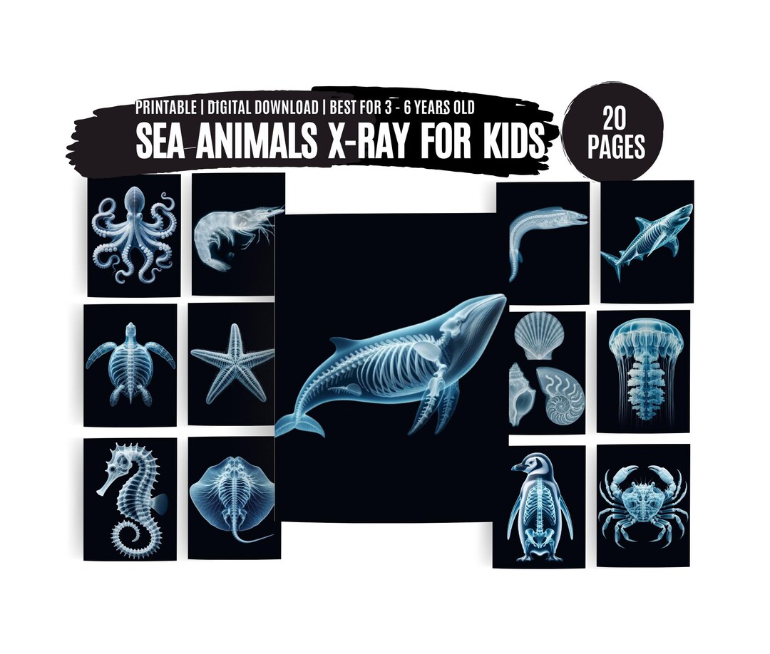Printable Sea Animals X-ray for Kids: Vet Pretend Play (digital ...