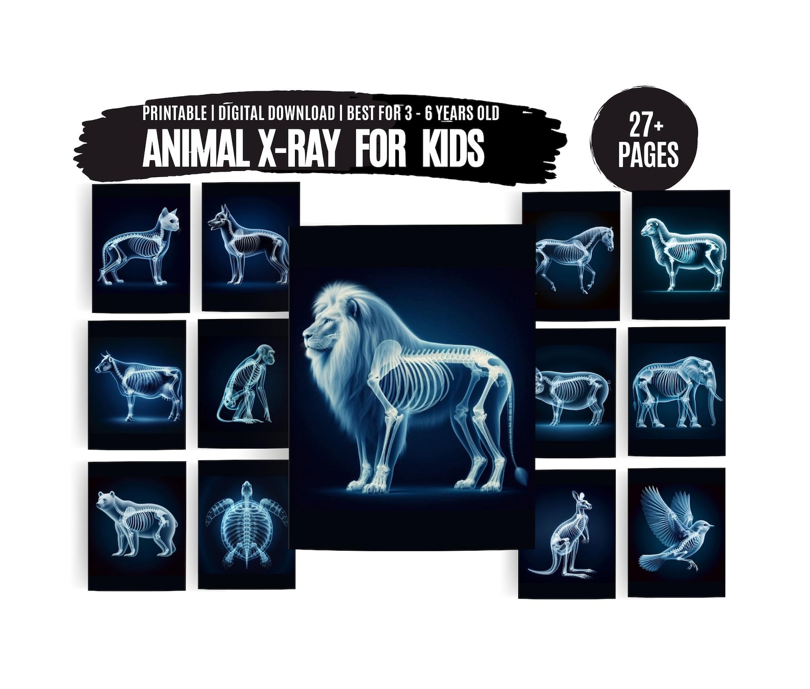 Printable Animal X-rays for Kids: Vet Pretend Play (digital Download ...