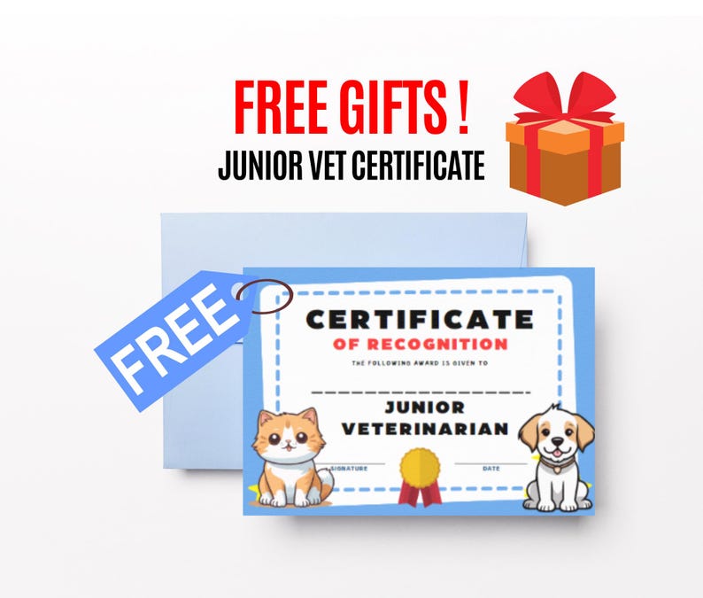 Vet Clinic Dramatic Play Printable Set, Interactive Animal Care Role ...