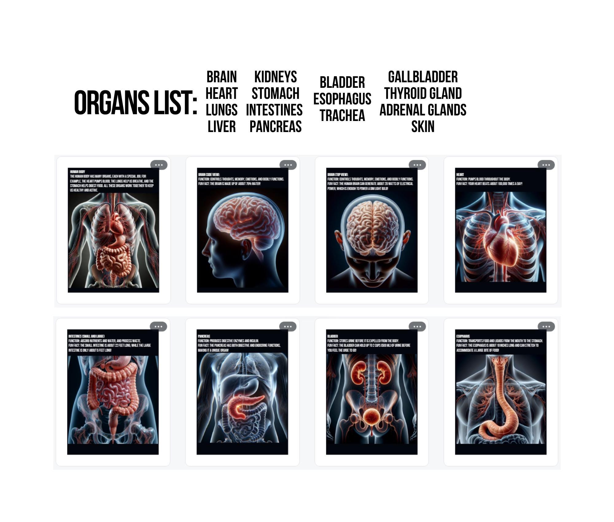 Human Anatomy Printable Activity for Kids | Human Organs Activity ...