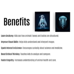 Printable Animal X-rays for Kids: Vet Pretend Play (digital Download ...