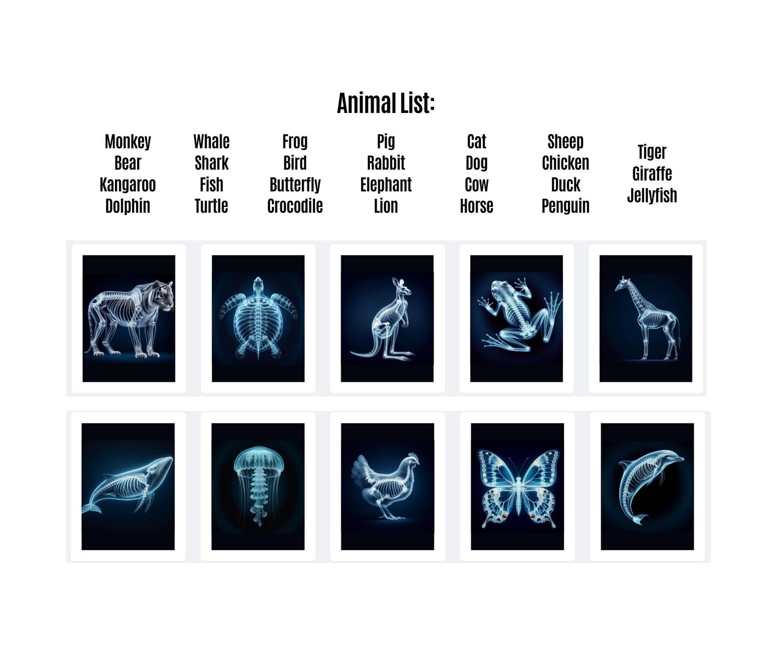 Printable Animal X-rays for Kids: Vet Pretend Play (digital Download ...