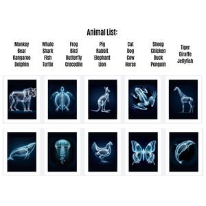 Printable Animal X-rays for Kids: Vet Pretend Play (digital Download ...
