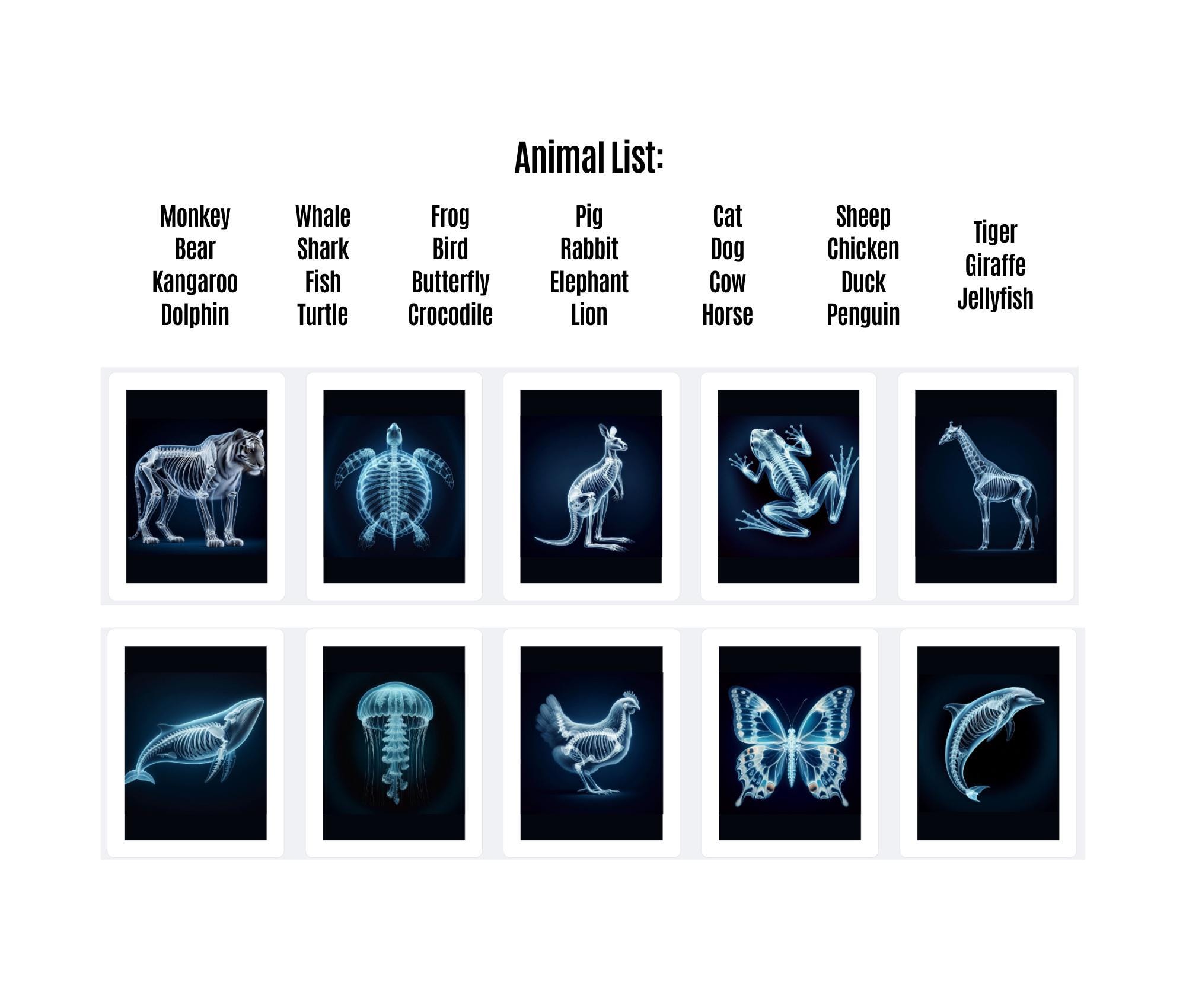 Printable Animal X-rays for Kids: Vet Pretend Play (digital Download ...