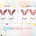 Easter Bunny Scrunchie Card, Rabbit Scrunchie, Easter Scrunchie Gift ...