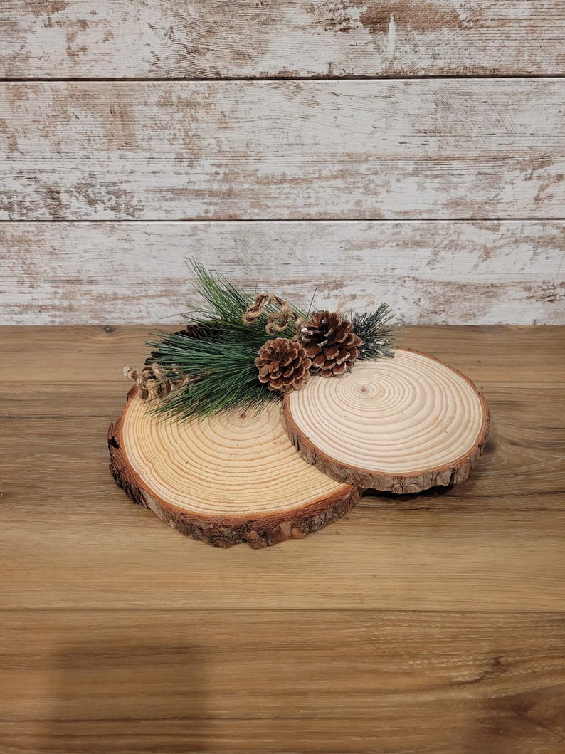 Winter/christmas Centerpiece - Etsy