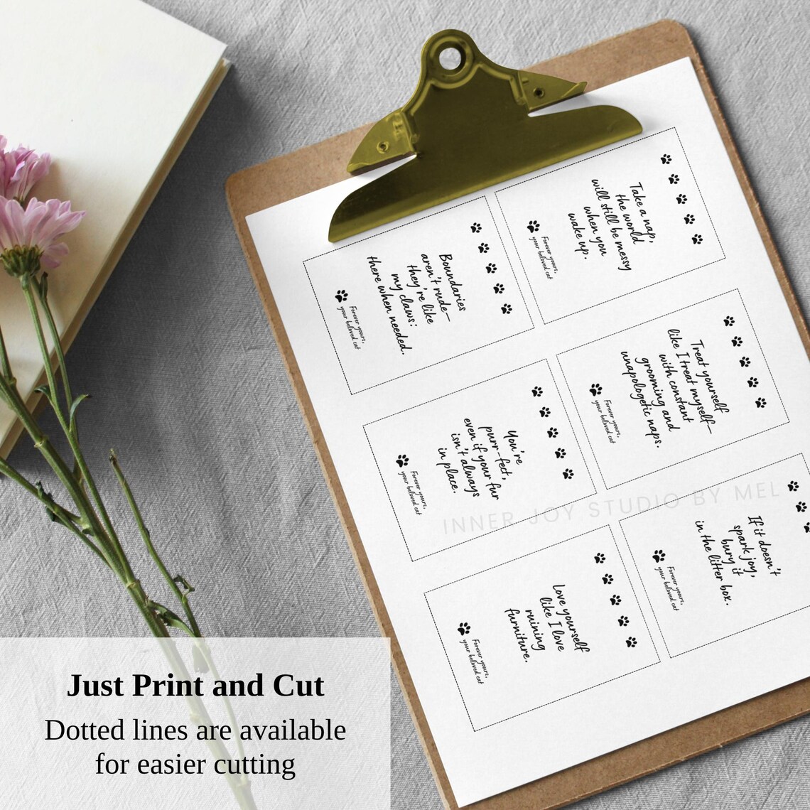 Printable Funny Cat Wisdom Cards for Self Love, Inspirational Quote for ...