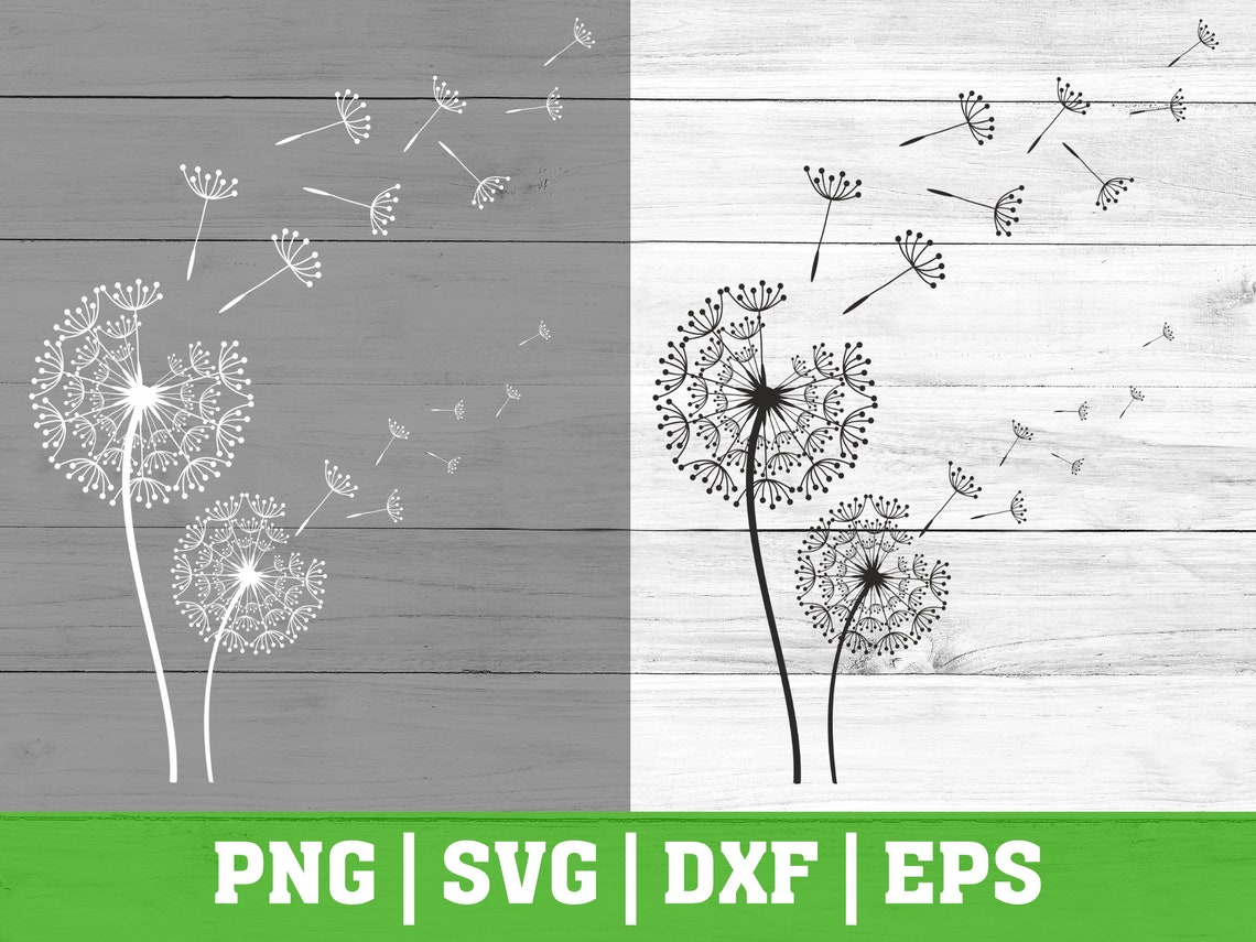 Dandelion SVG, PNG, EPS, Dandelions Svg Bundle, Instant Download ...