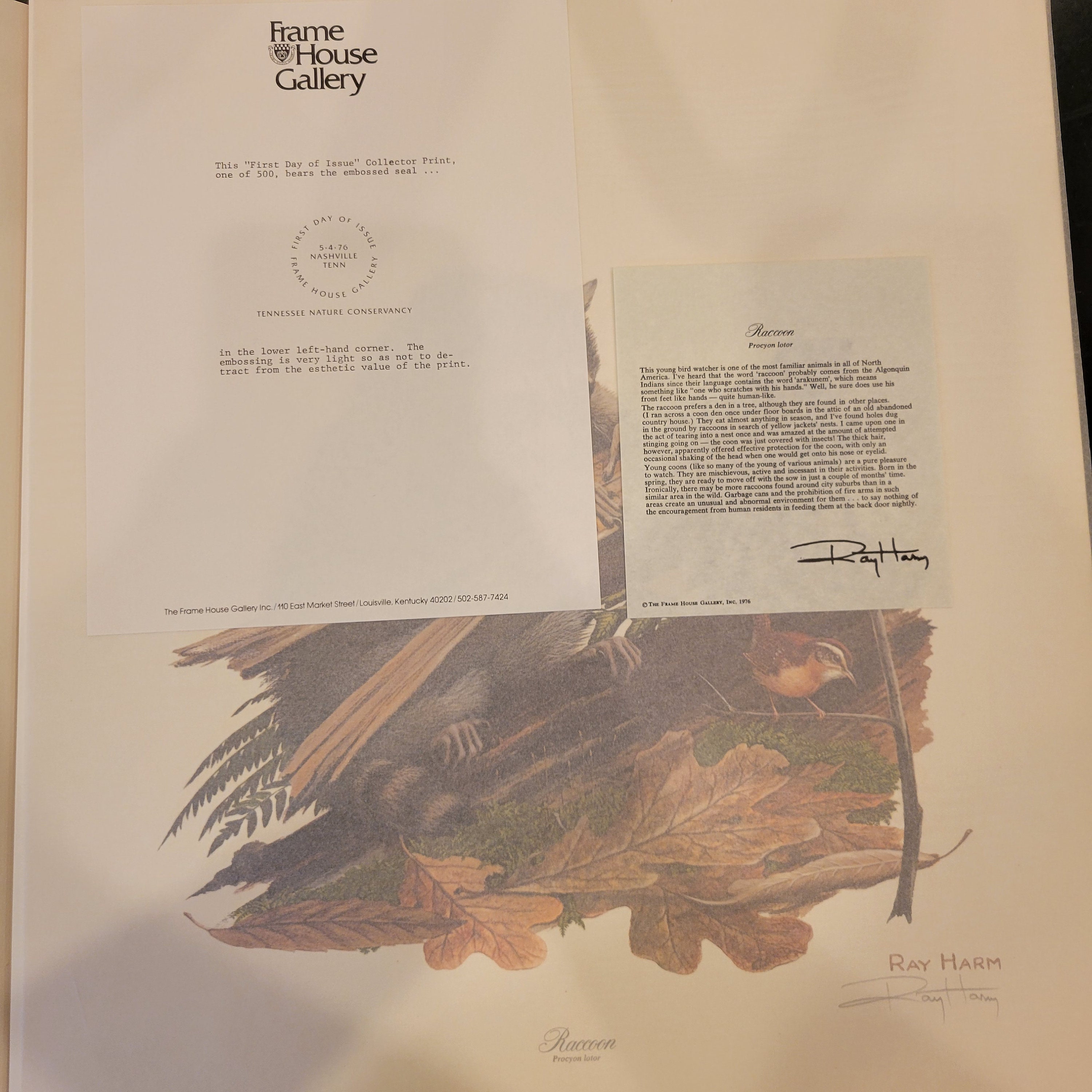 Ray Harm "raccoon" - Official First Day of Issue Print (1/500) - Etsy