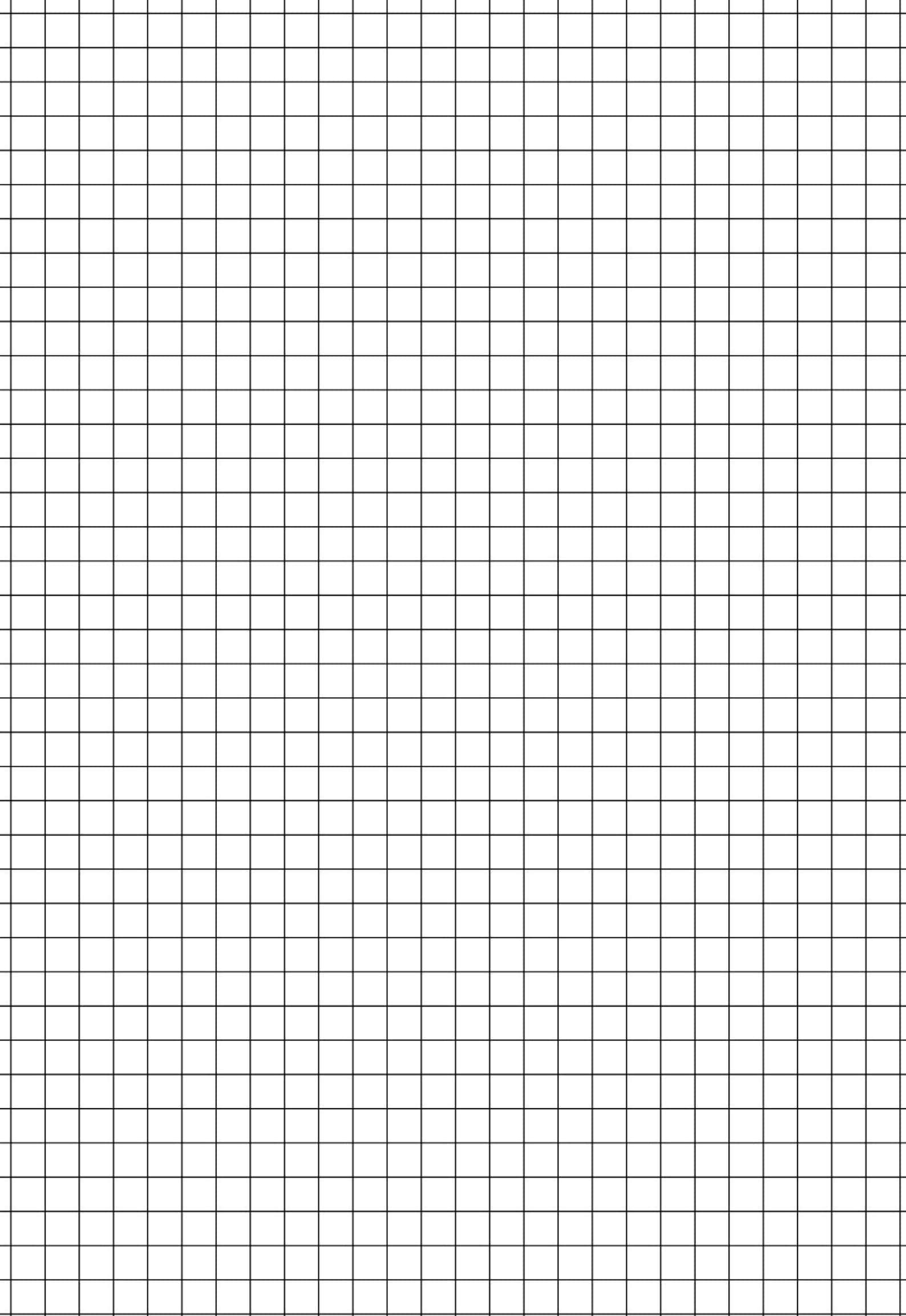 Graph Paper Quad Ruled 4 Grid Sizes 1/5 Inch, 1/4 Inch 1/3 Inch, 1/2 ...