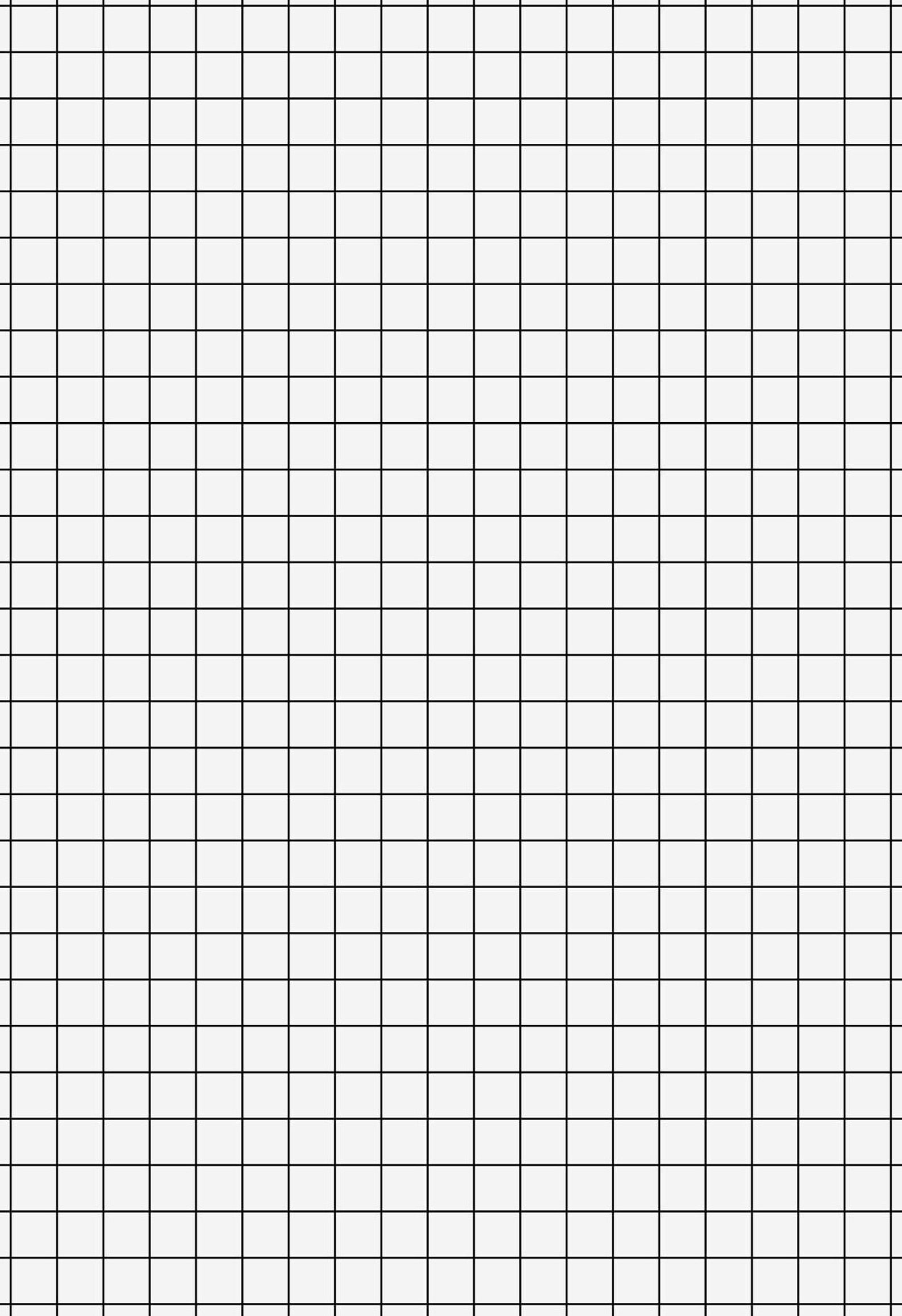 Graph Paper Quad Ruled 4 Grid Sizes 1/5 Inch, 1/4 Inch 1/3 Inch, 1/2 ...