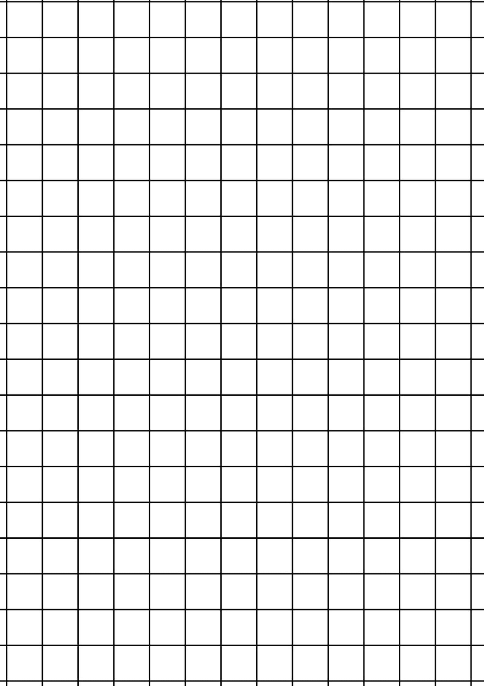 Graph Paper Quad Ruled 4 Grid Sizes 1/5 Inch, 1/4 Inch 1/3 Inch, 1/2 ...
