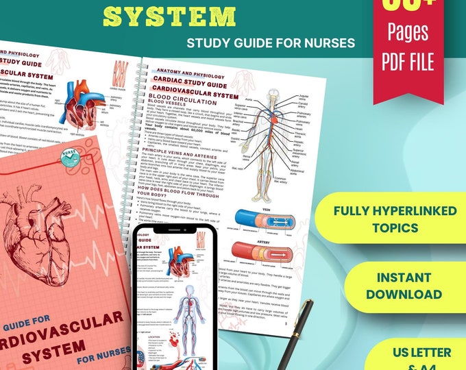 Cardiovascular System Study Guide | Heart Anatomy, Nursing Resource ...