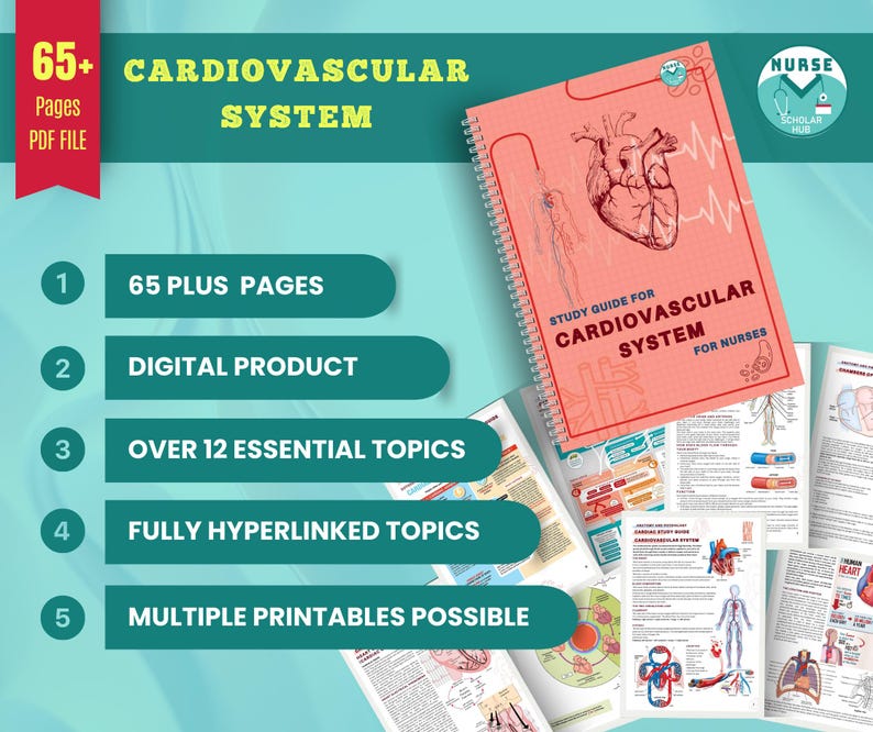 Cardiovascular System Nursing Note Bundle | Heart Anatomy & Cardiac ...