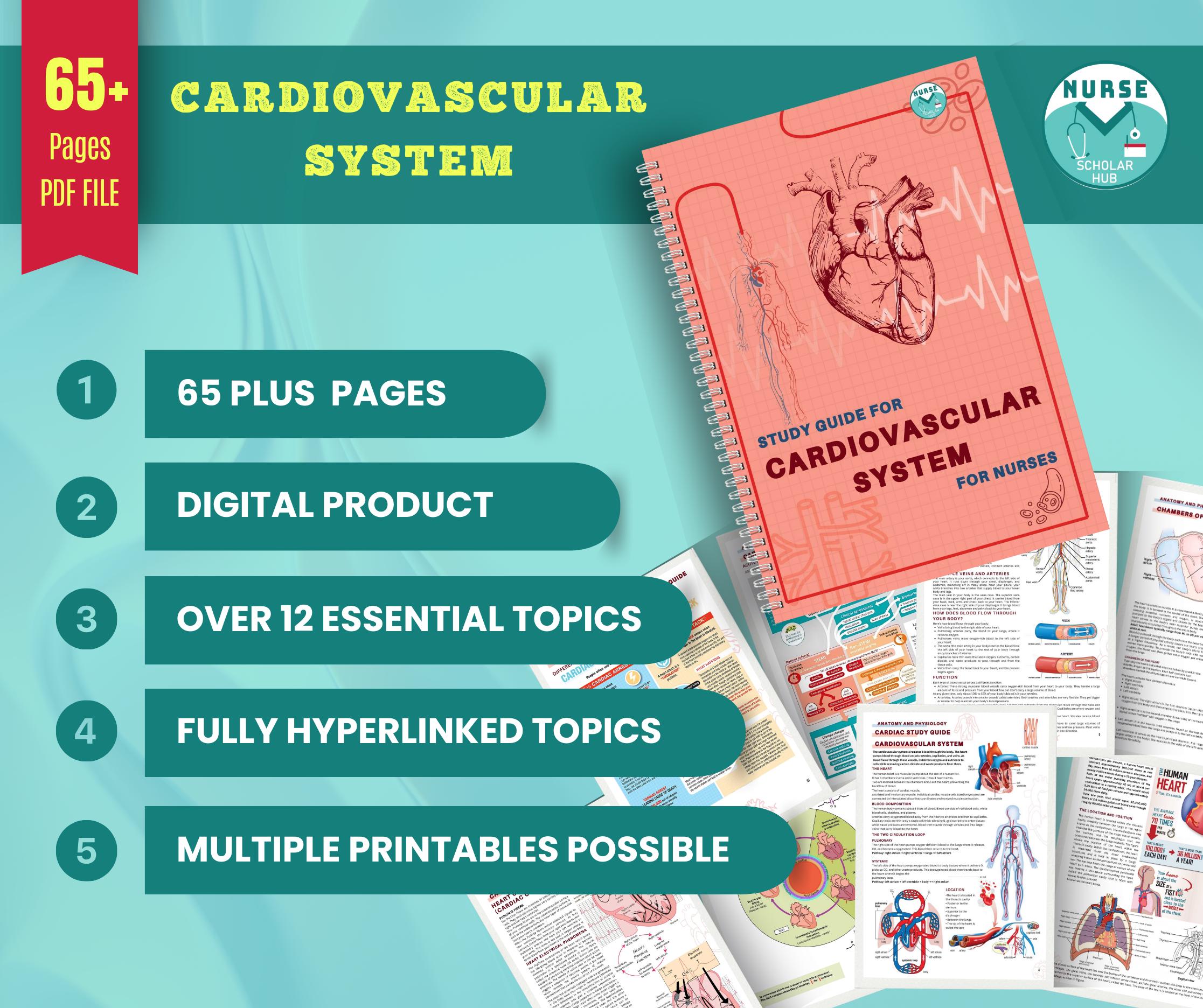 Cardiovascular System Nursing Note Bundle | Heart Anatomy & Cardiac ...