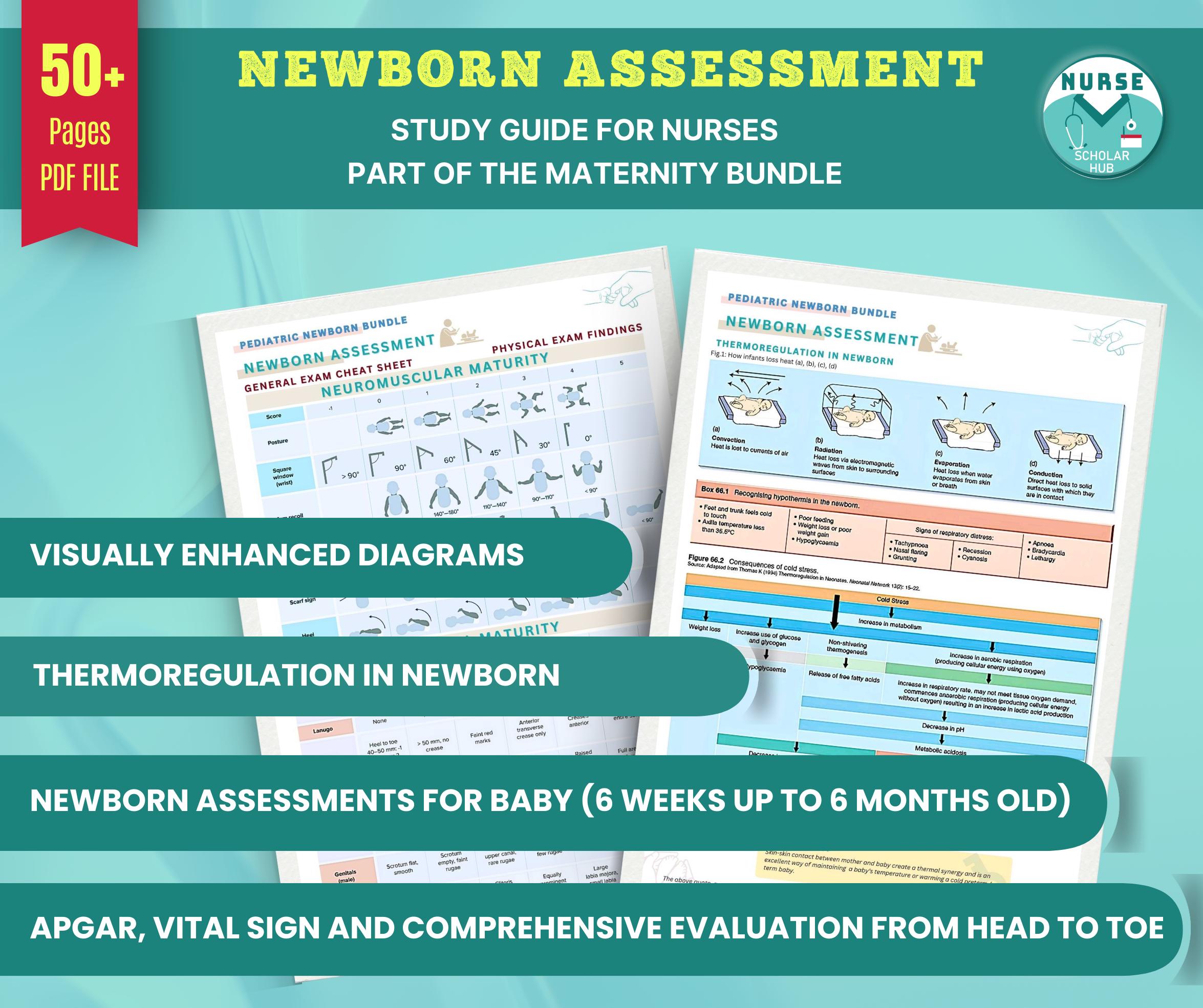 Newborn Baby Assessment Nursing Study Guide | 55+ Page Cheat Sheet With ...