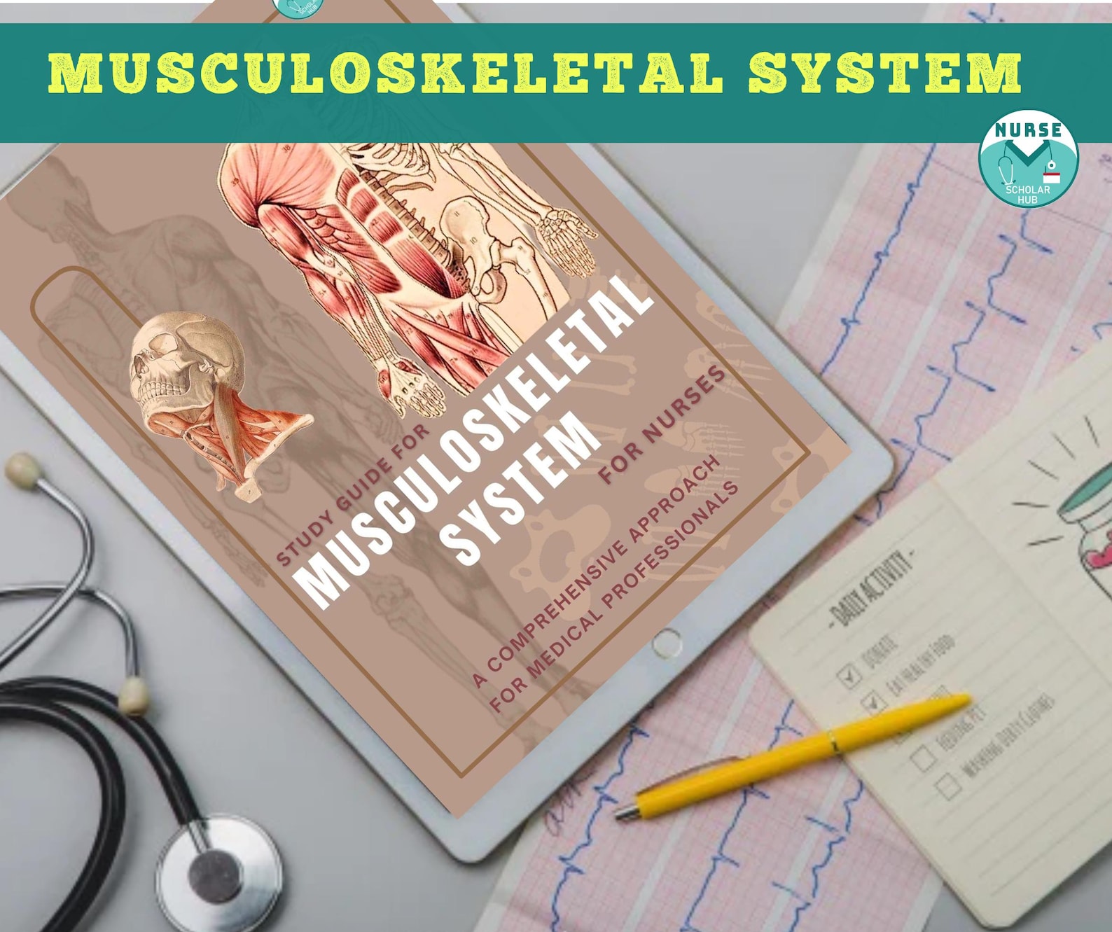 Musculoskeletal System Nursing Study Notes | Anatomy, Physiology, and ...
