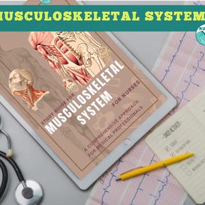 Musculoskeletal System Nursing Study Notes | Anatomy, Physiology, and ...
