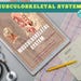 Musculoskeletal System Nursing Study Notes | Anatomy, Physiology, and ...