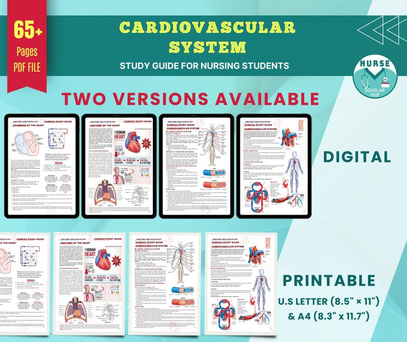 Cardiovascular System Nursing Note Bundle | Heart Anatomy & Cardiac ...