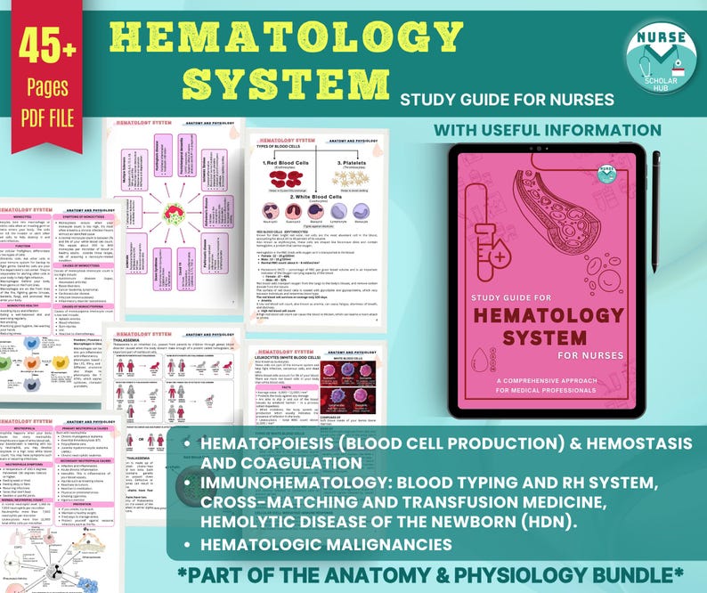 Hematology Nursing Notes Bundle | Blood Disorders, Anatomy & Physiology ...