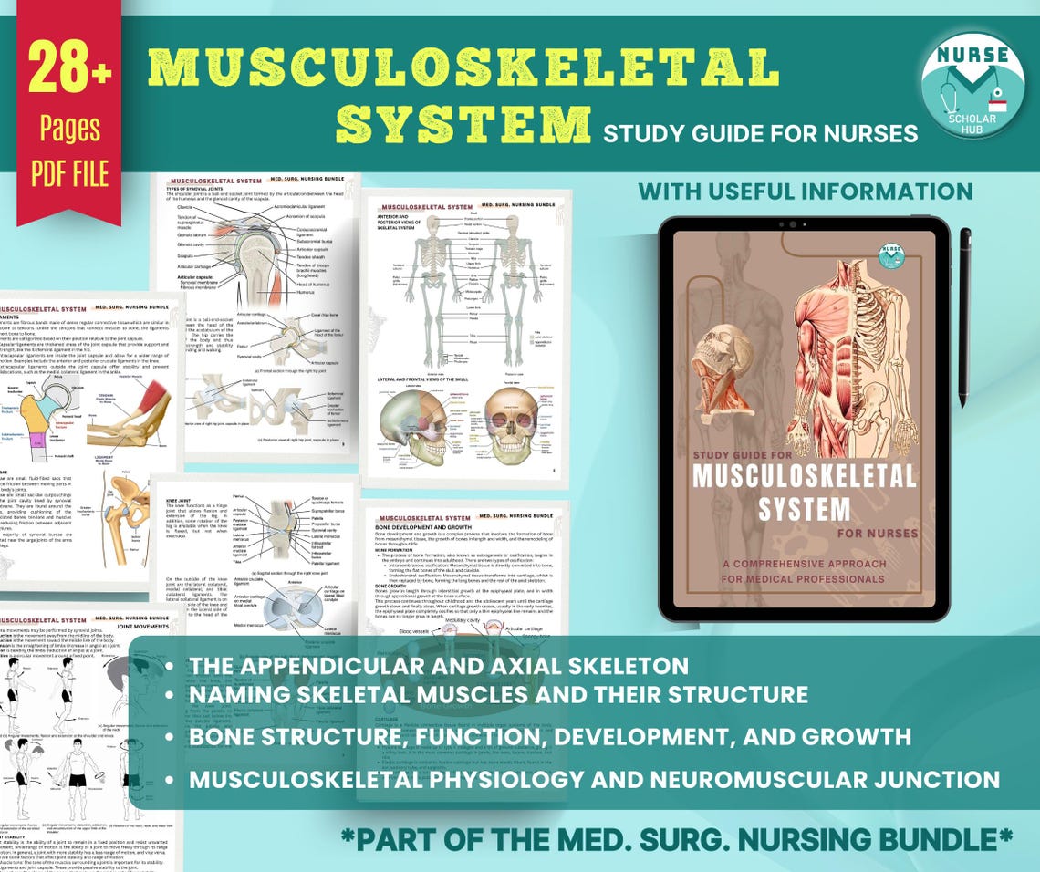 Musculoskeletal System Nursing Study Notes | Anatomy, Physiology, and ...