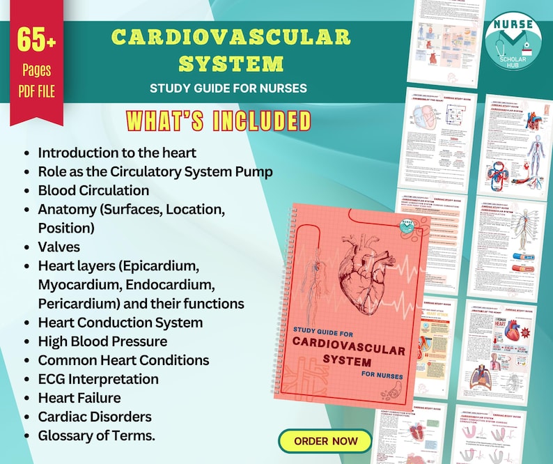 Cardiovascular System Nursing Note Bundle | Heart Anatomy & Cardiac ...