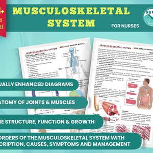Musculoskeletal System Nursing Study Notes | Anatomy, Physiology, and ...