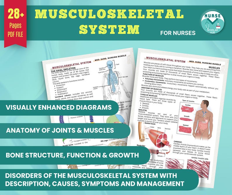Musculoskeletal System Nursing Study Notes | Anatomy, Physiology, and ...