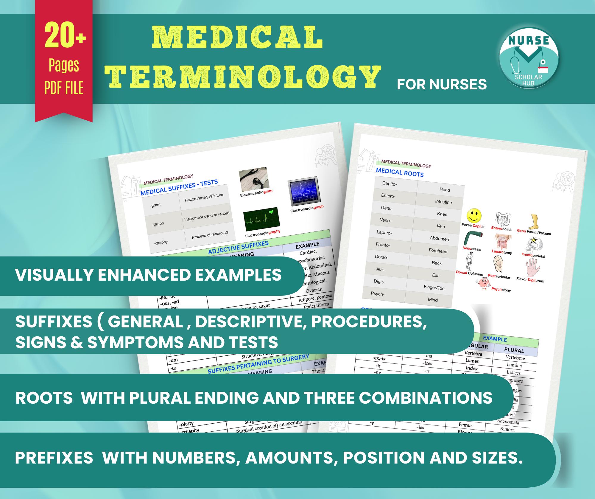 Medical Terminology Study Guide | Prefixes and Suffixes | word Roots ...