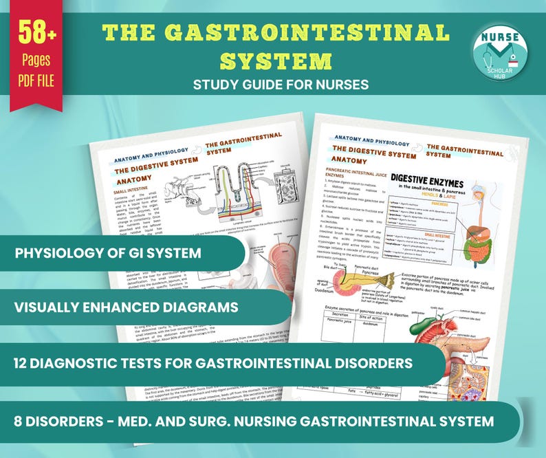 GASTROINTESTINAL SYSTEM Nursing Study Guide | 60+ Page Digestive System ...