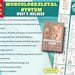 Musculoskeletal System Study Guide for Nurses | Anatomy & Physiology ...
