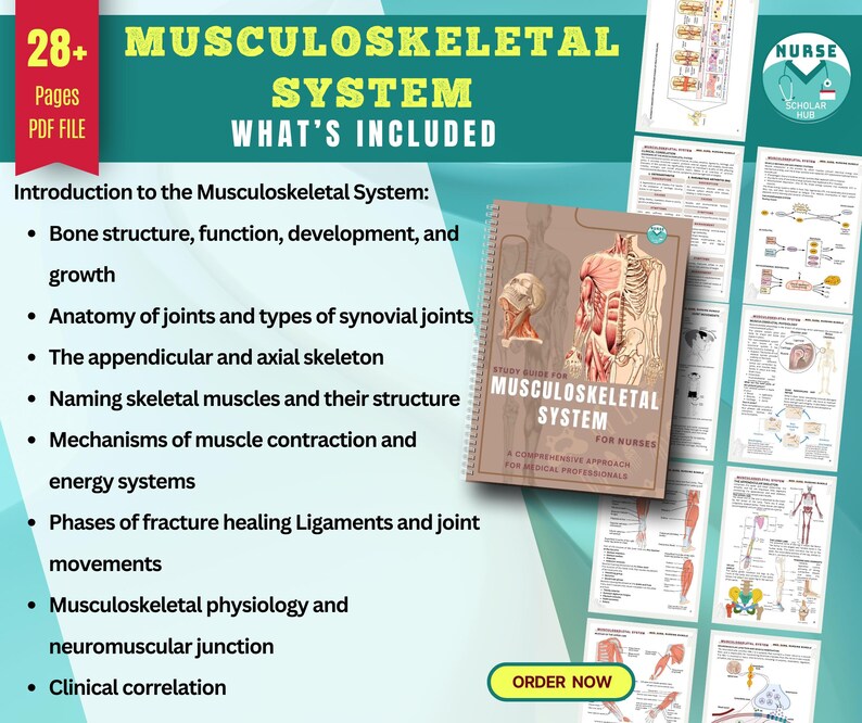 Musculoskeletal System Nursing Study Notes | Anatomy, Physiology, and ...